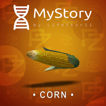 Second Life Marketplace - Corn - [MyStory] x 25